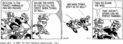 Cozy Beehive: Cycling comics