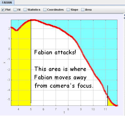 Cozy Beehive: June 2010