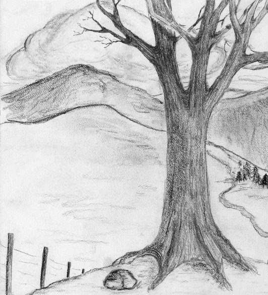 Awesome Examples of Pencil Sketch Art