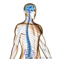 Fisioterapia Quintana: O QUE É ESPASTICIDADE?