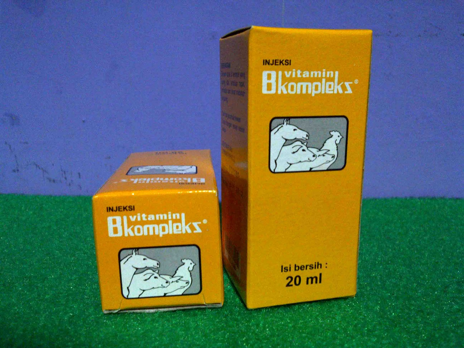 .: ANEKA OBAT AYAM BANGKOK