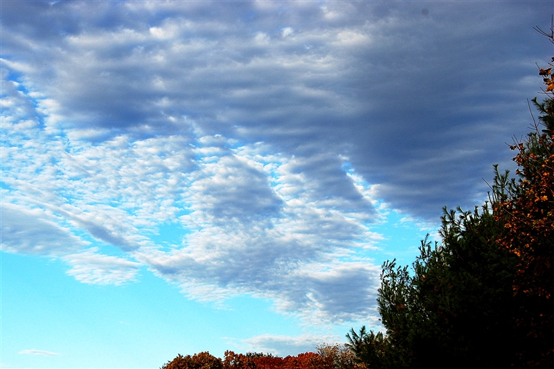 Capadia Designs: October's Bright Blue Weather