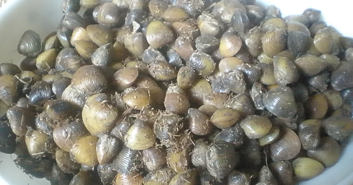 4fn1mf-family: Etok ke Etak?????