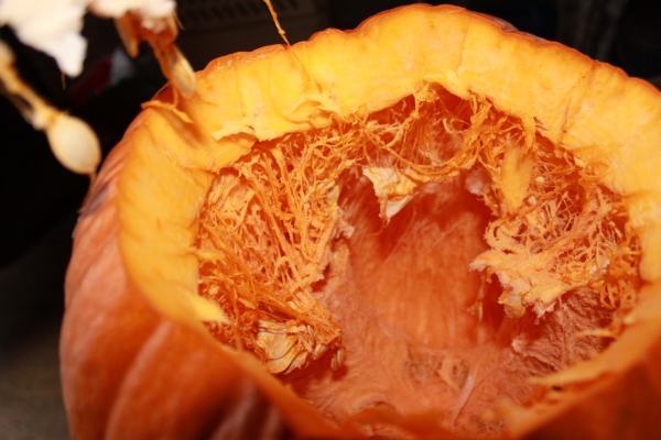 Reflections of katlupe: Canning Pumpkin From My Garden