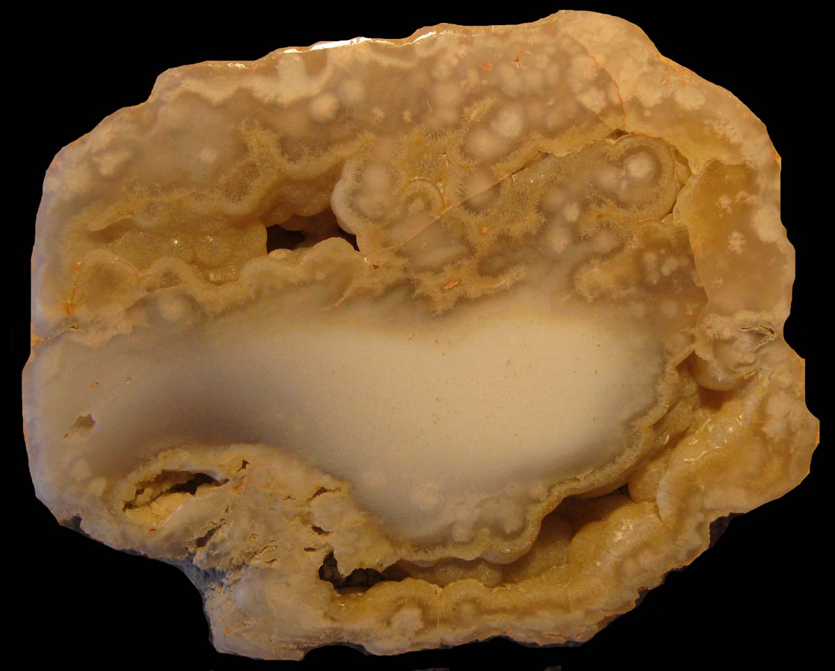 The Agatelady: Adventures and Events: New Agates for the Museum