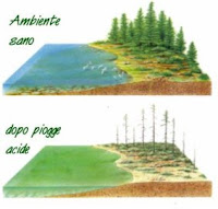 Scienza e Tecnologia: Le piogge acide