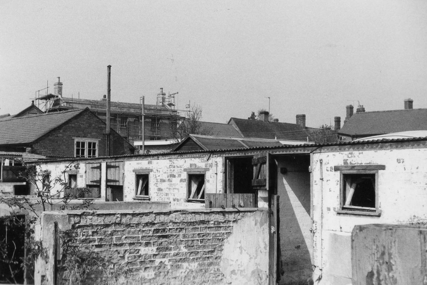 UNIVERSITY OF BUCKINGHAM by John Pemberton