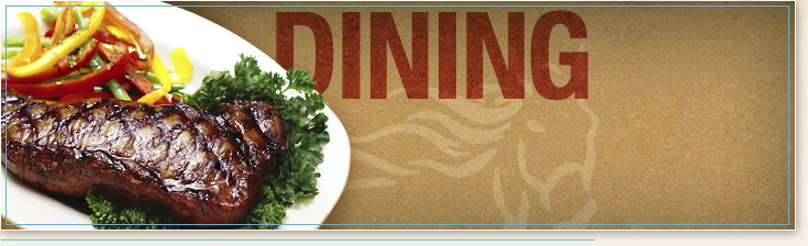 Racing at Running Aces: About Running Aces