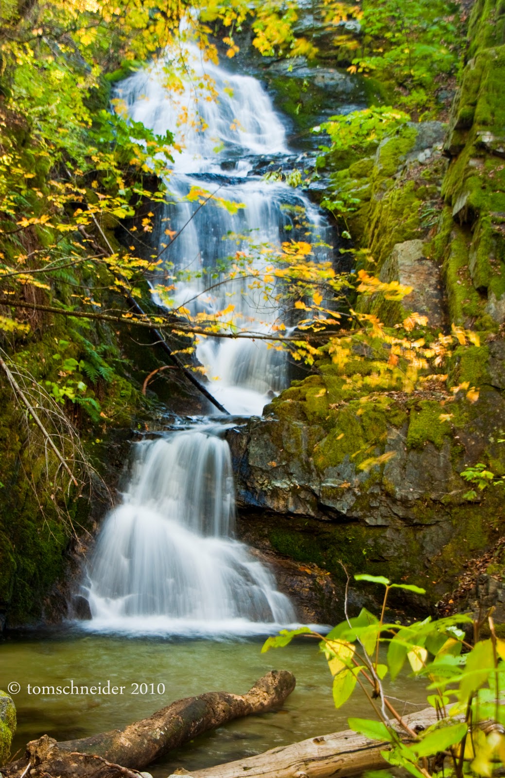 Art with a Lens: Northern California - Mountains, Forest and Water