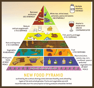 Vision: Food Pyramids