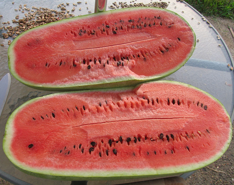 Poppular Photography: Long Live the Seeded Watermelon!