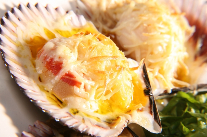 Conchitas a la parmesana | Peruvian recipes, Food, Yummy food