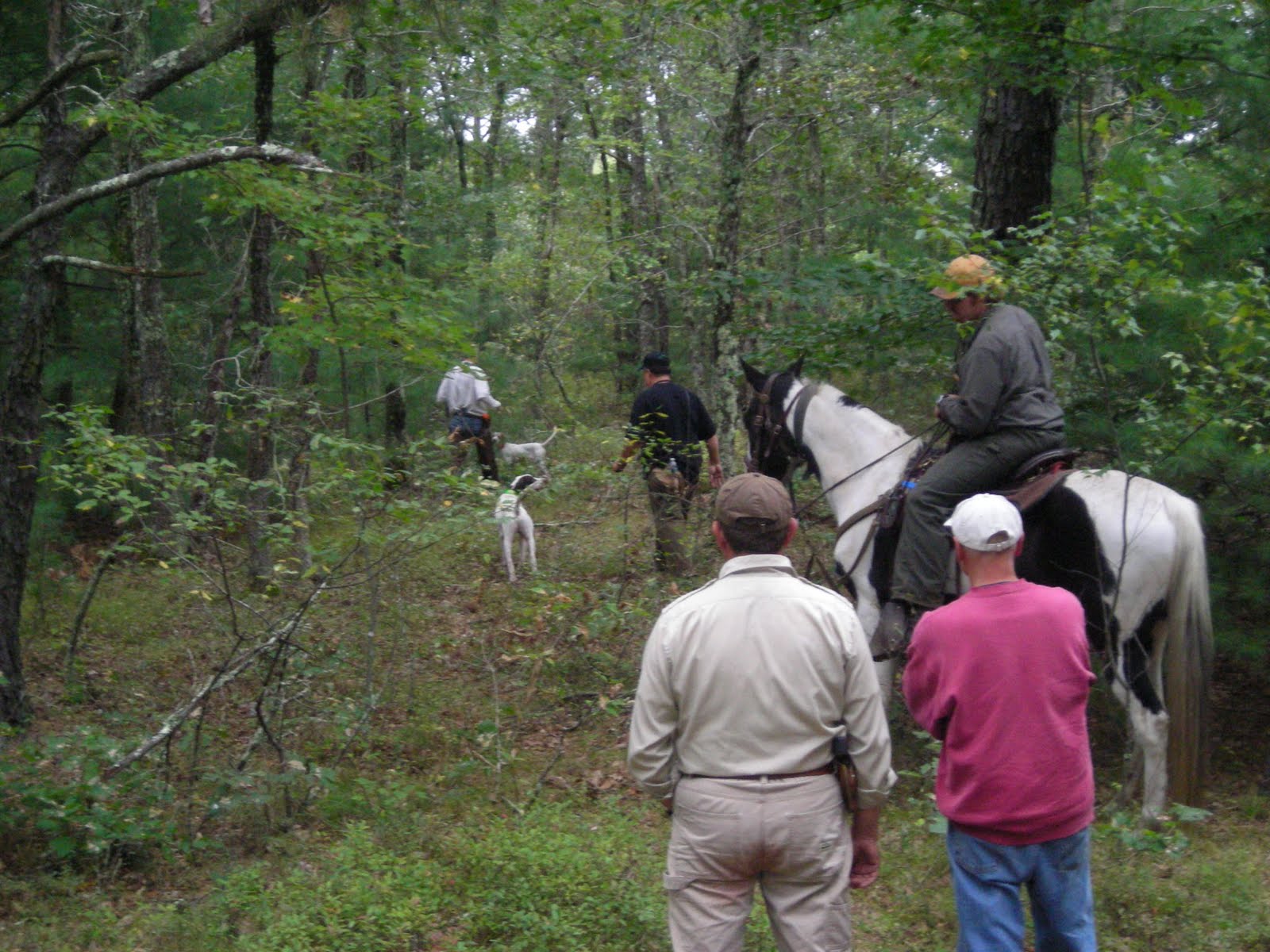 REGION 1 / ANEFTC: Results, pictures - Arcadia FTC Fall Trial