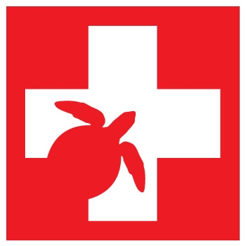 Sea Turtle Hospital: 18th Green and May showing signs of improvement ...