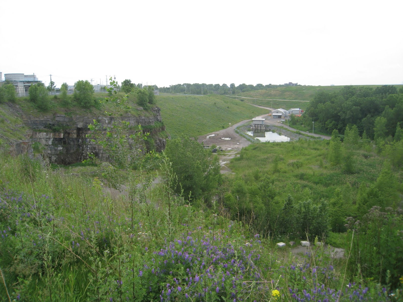 Cycle Fun Montreal: Le Taz pump track
