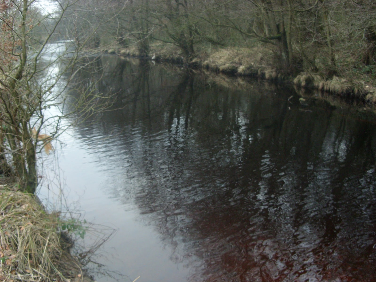 The Meddy Man: River Etherow Woolley Bridge
