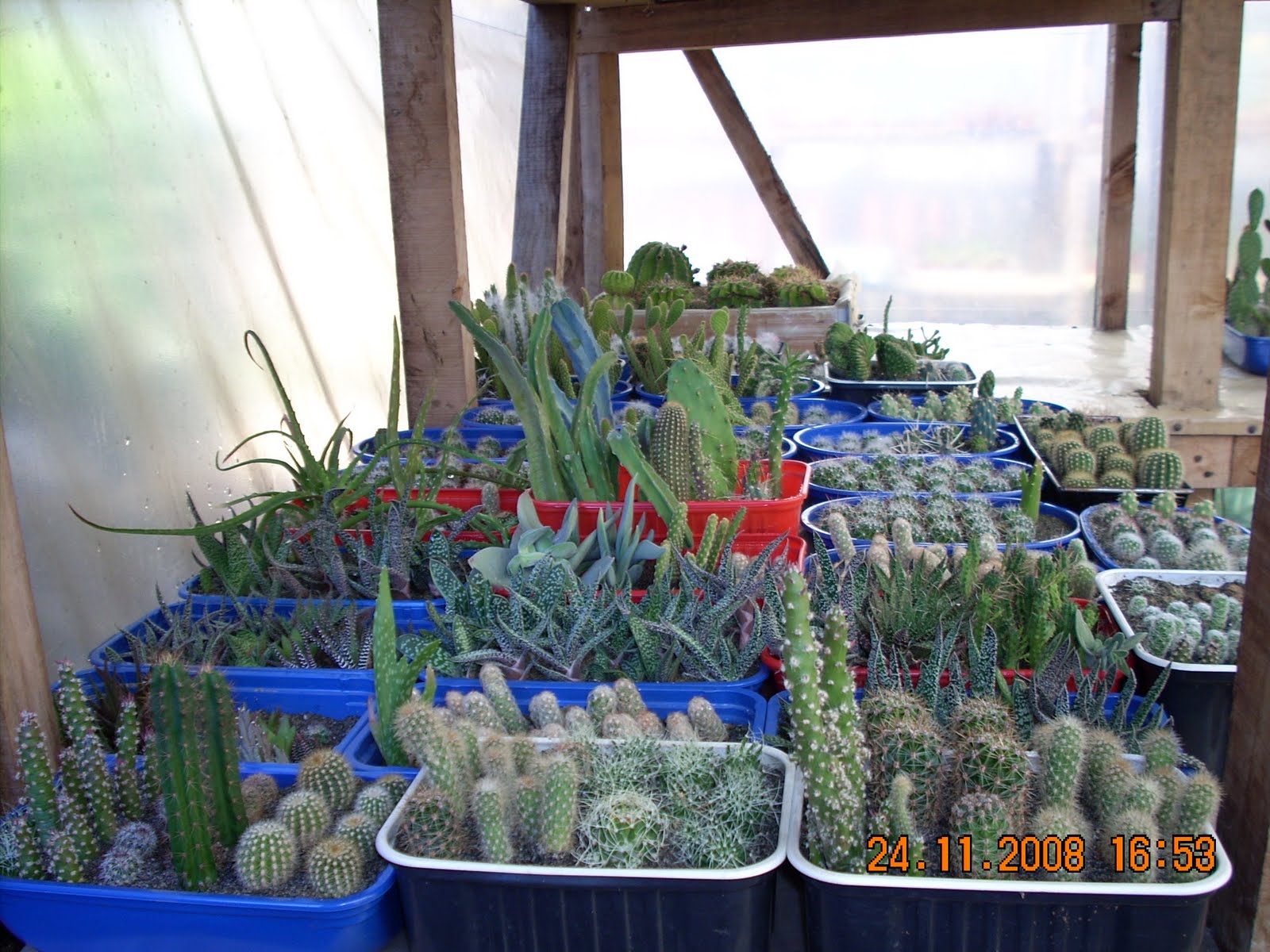 VIVERO SANSSOUCI: Sistema productivo del Vivero y su infraestructura