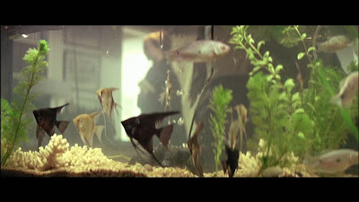 Movie Screenshots: The Graduate (1967)