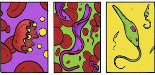 Edward Ross: comics and illustration: Free Parasites!