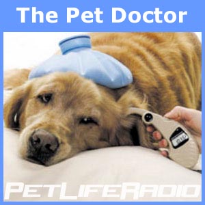 My Dog Has Cancer. Now What?: Visual Rhetoric - Pathos