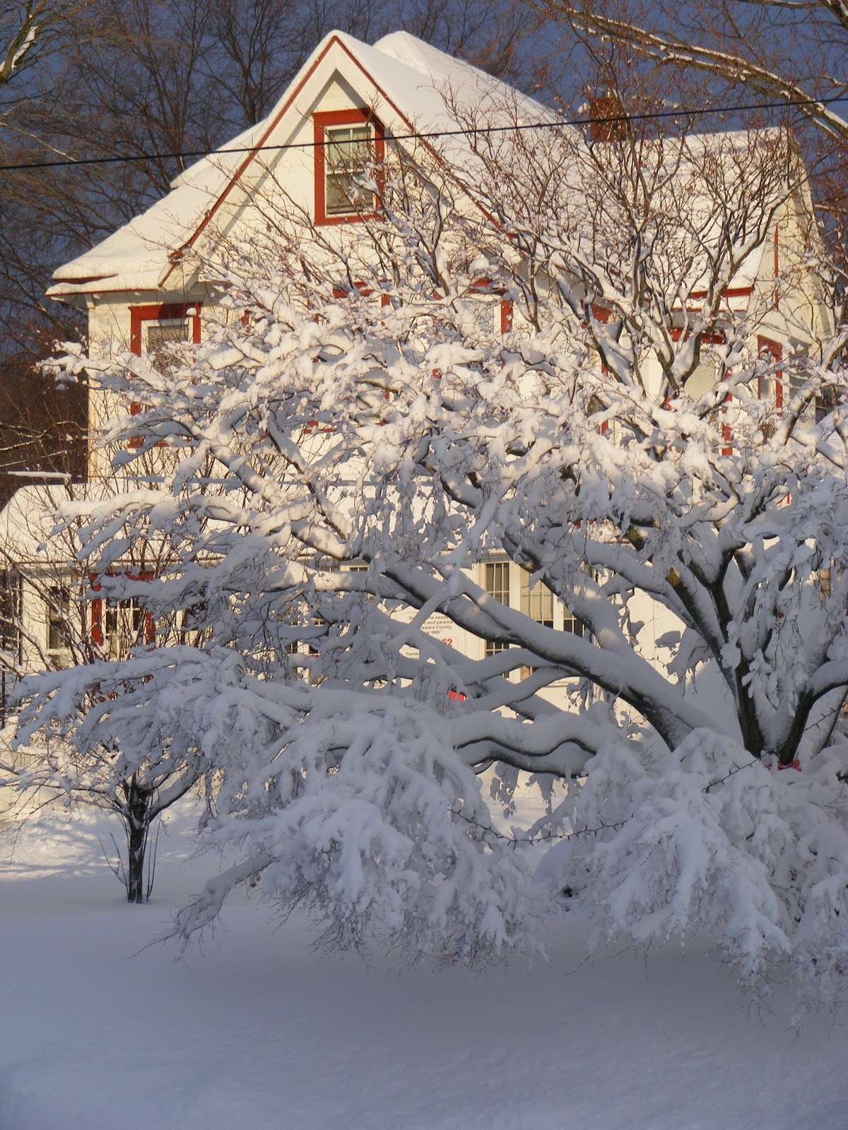 A New Day: January 2011