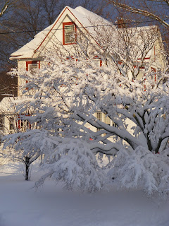 A New Day: January 2011