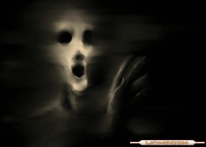 Las mejores imágenes de terror: El tema de hoy : Fantasmas...