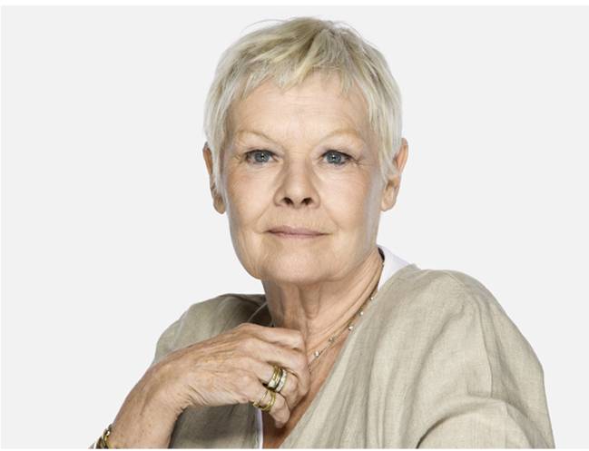 Laura Sanders Art & Design