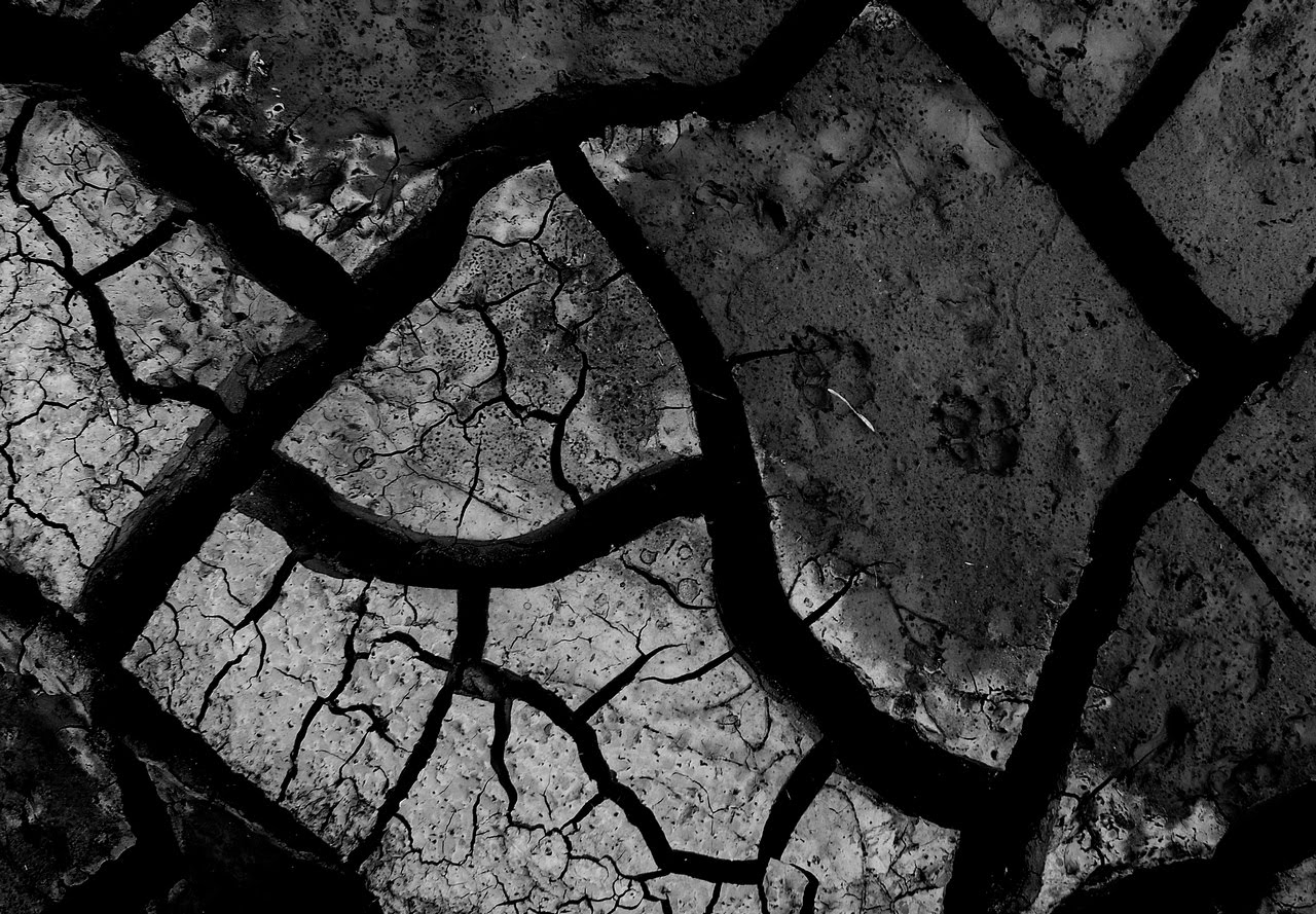 Everything is Interconnected: Repetition in nature