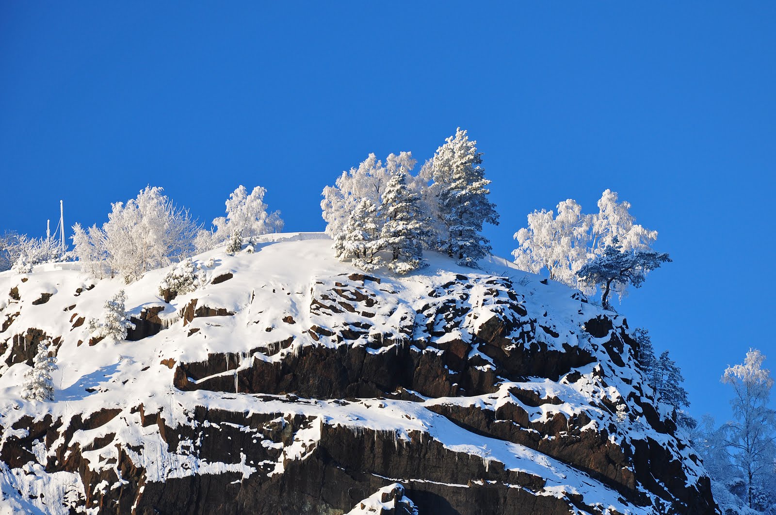 Bilderligt Talat: Dokumentärt