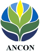 Calentamiento Global Stop: Bases teóricas del cambio climático global