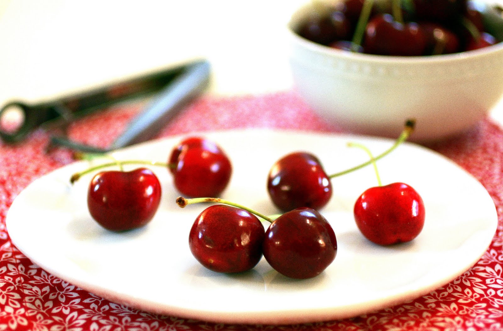 Tish Boyle Sweet Dreams: Summer Life: A Bowl of Cherries