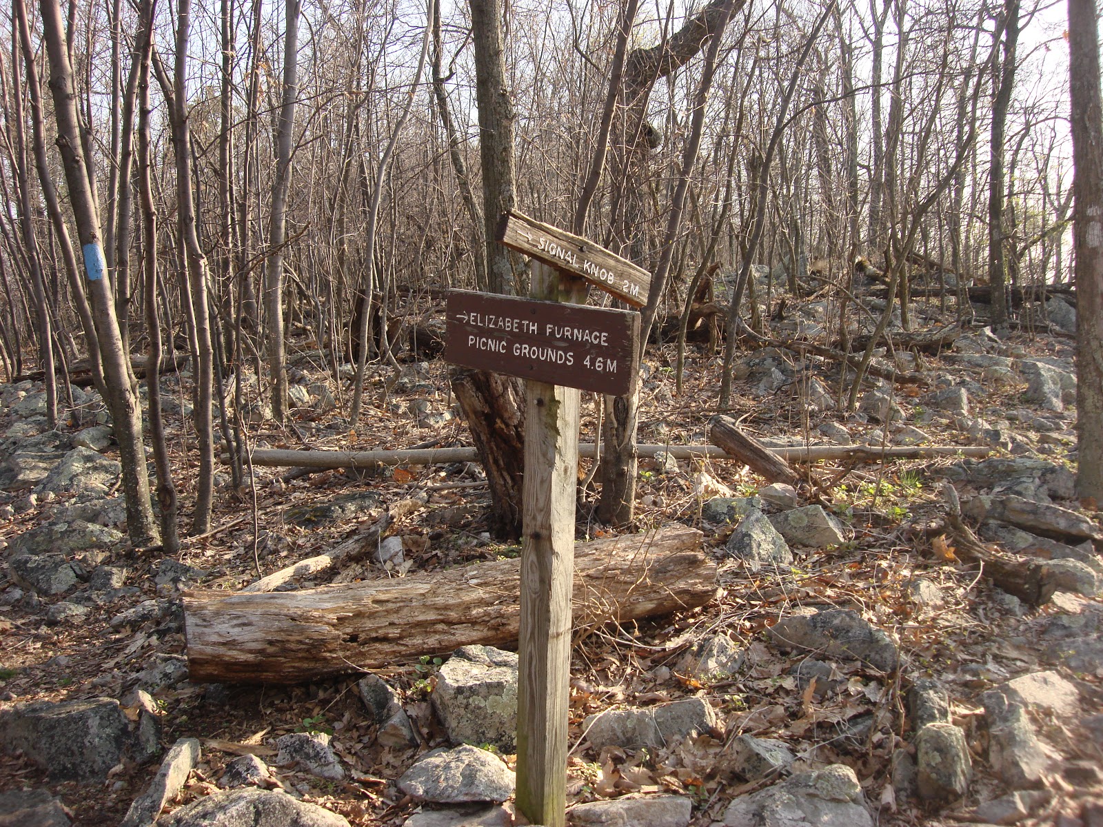 Wandering Virginia: Meneka Peak Hike - April 6, 2010