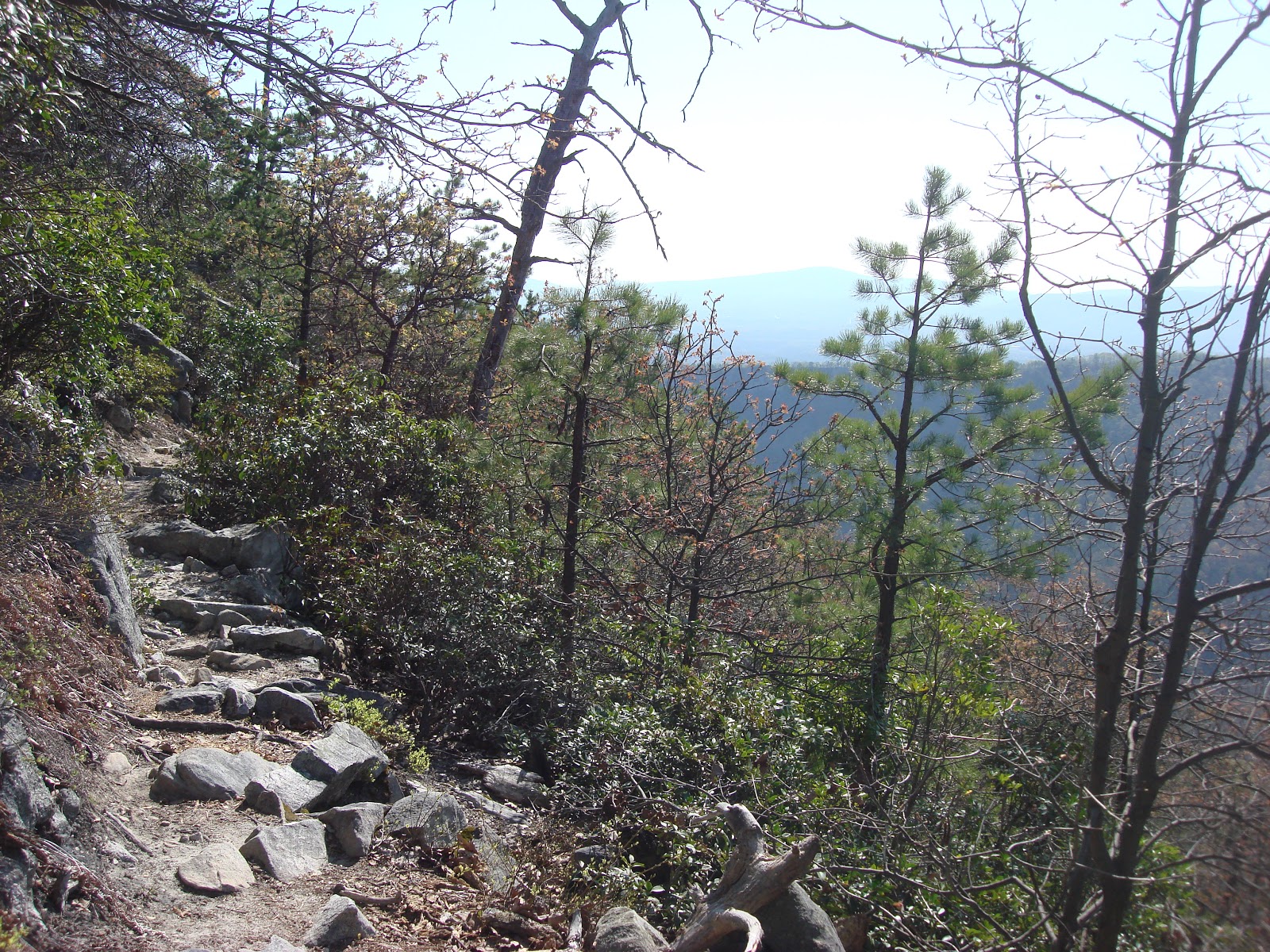 Wandering Virginia: Meneka Peak Hike - April 6, 2010