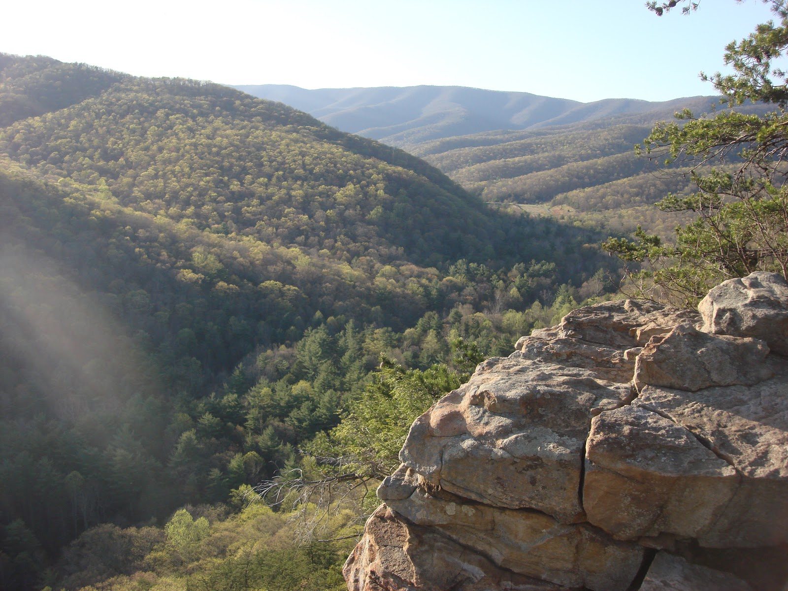 Wandering Virginia: Hone Quarry Hike - April 10, 2010
