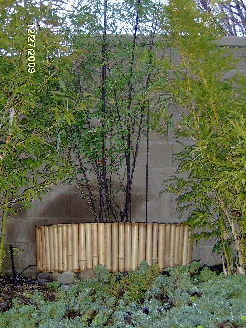 Bamboo Geek: Cool container ideas for bamboo...
