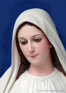 OUR LADY CAME TO PAGADIAN: The Face of the Image of Our Lady Mary ...