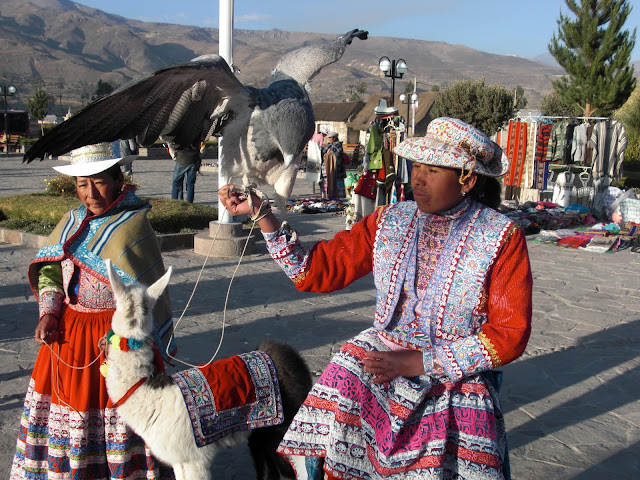 Flying Condors: Del Colca Canyon