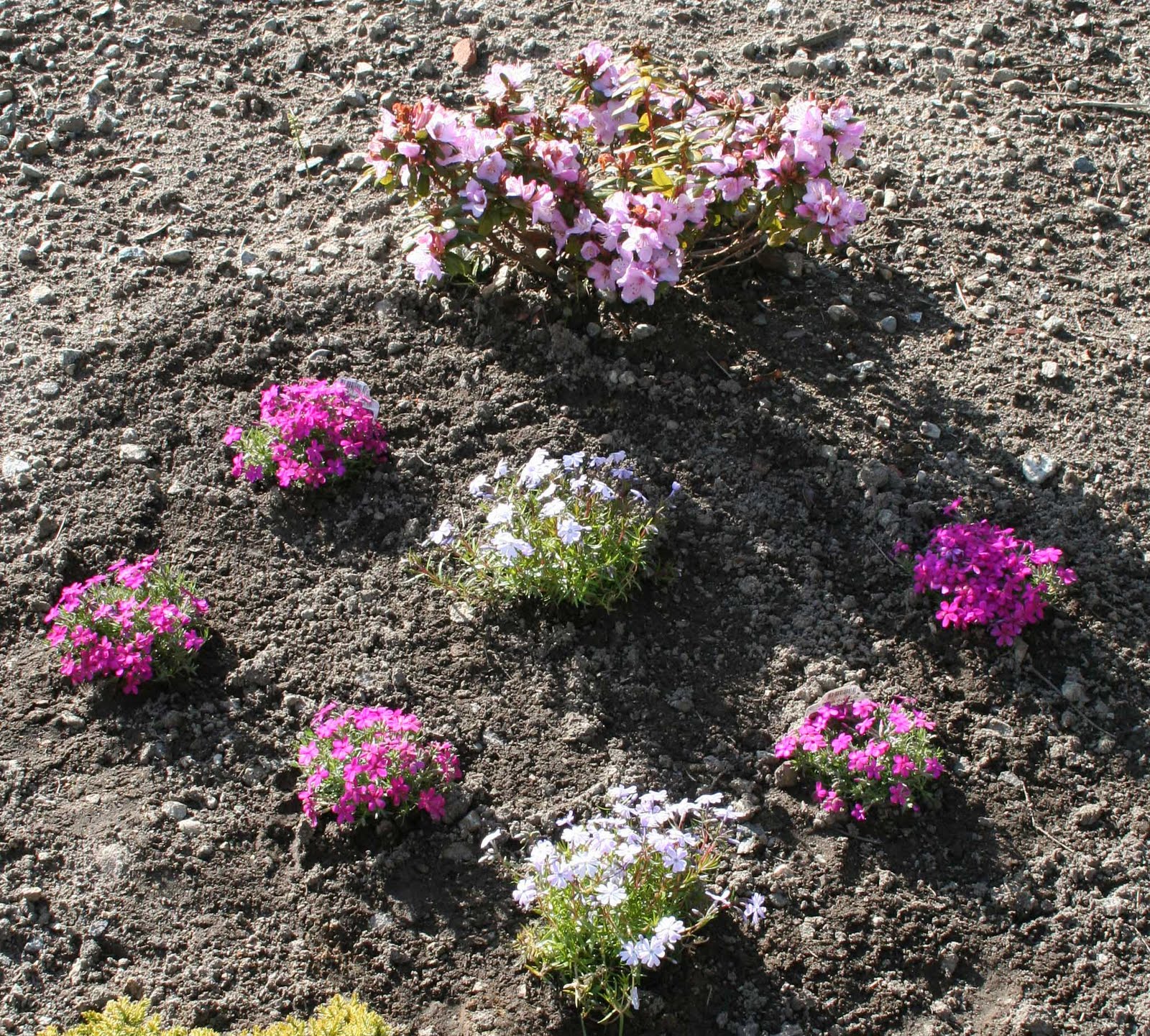 Myrvangs hobbyblogg: juli 2010