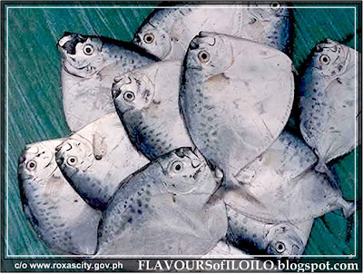 FLAVOURS OF ILOILO and beyond ...: Bilong-bilong