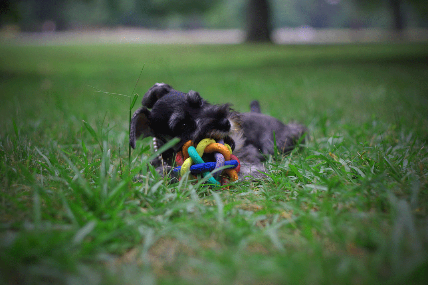 Beth Mitchell Photography