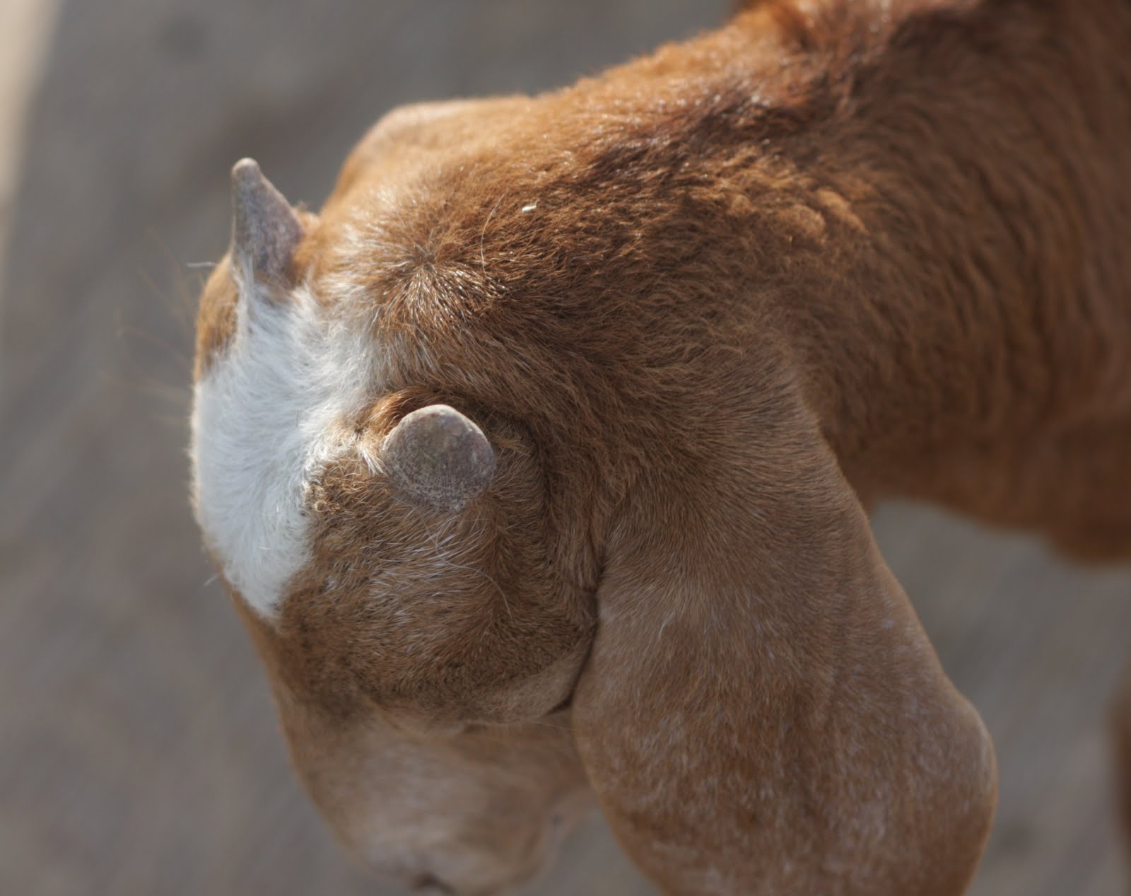 Beth Mitchell Photography