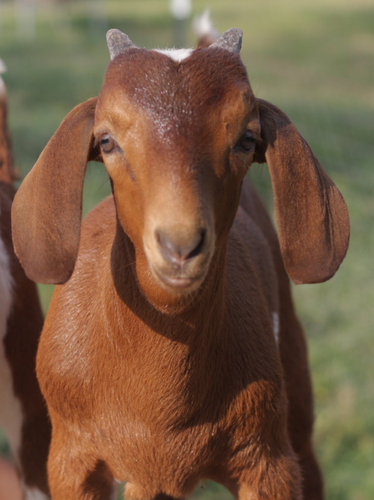 Beth Mitchell Photography