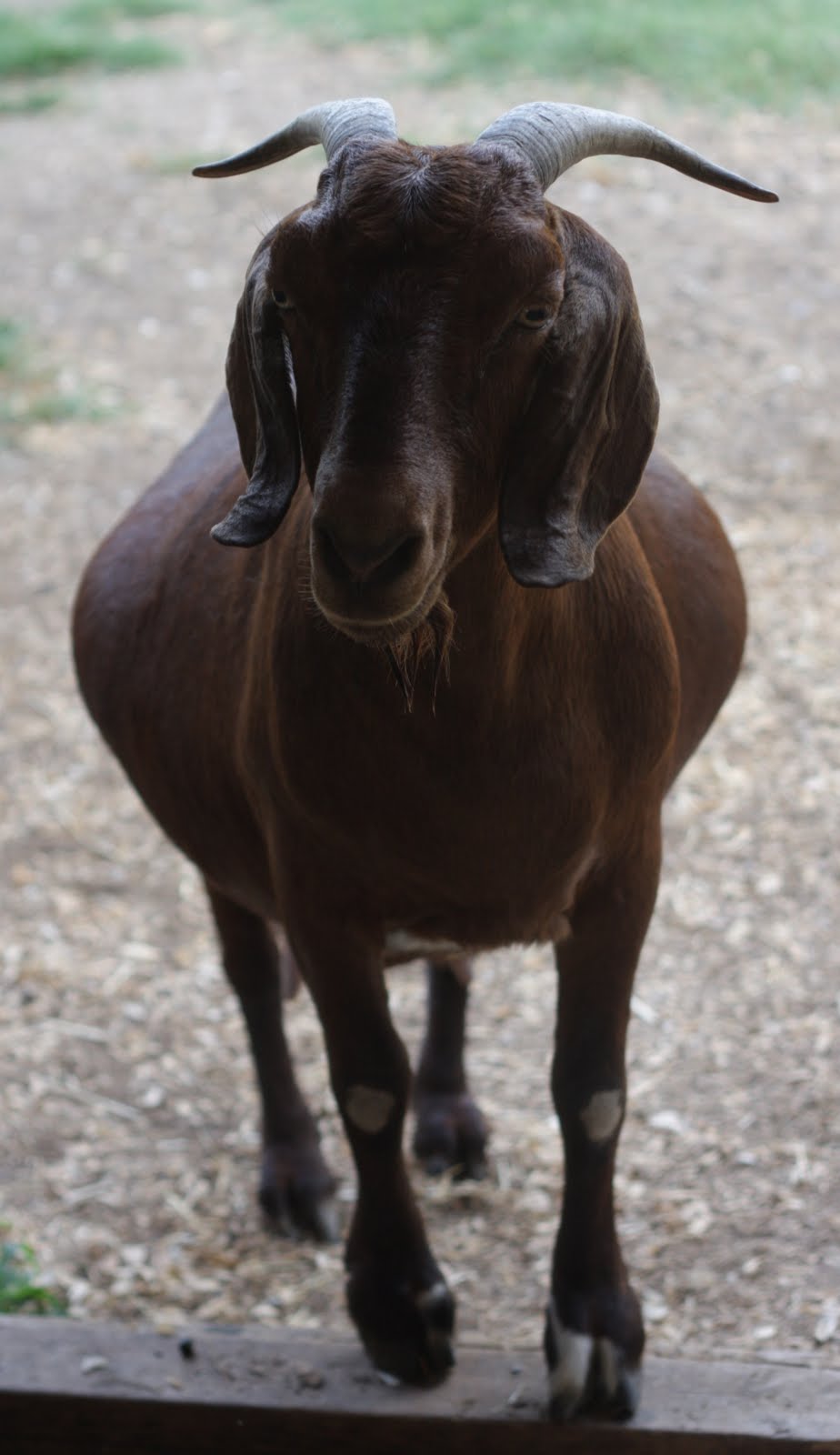 Beth Mitchell Photography