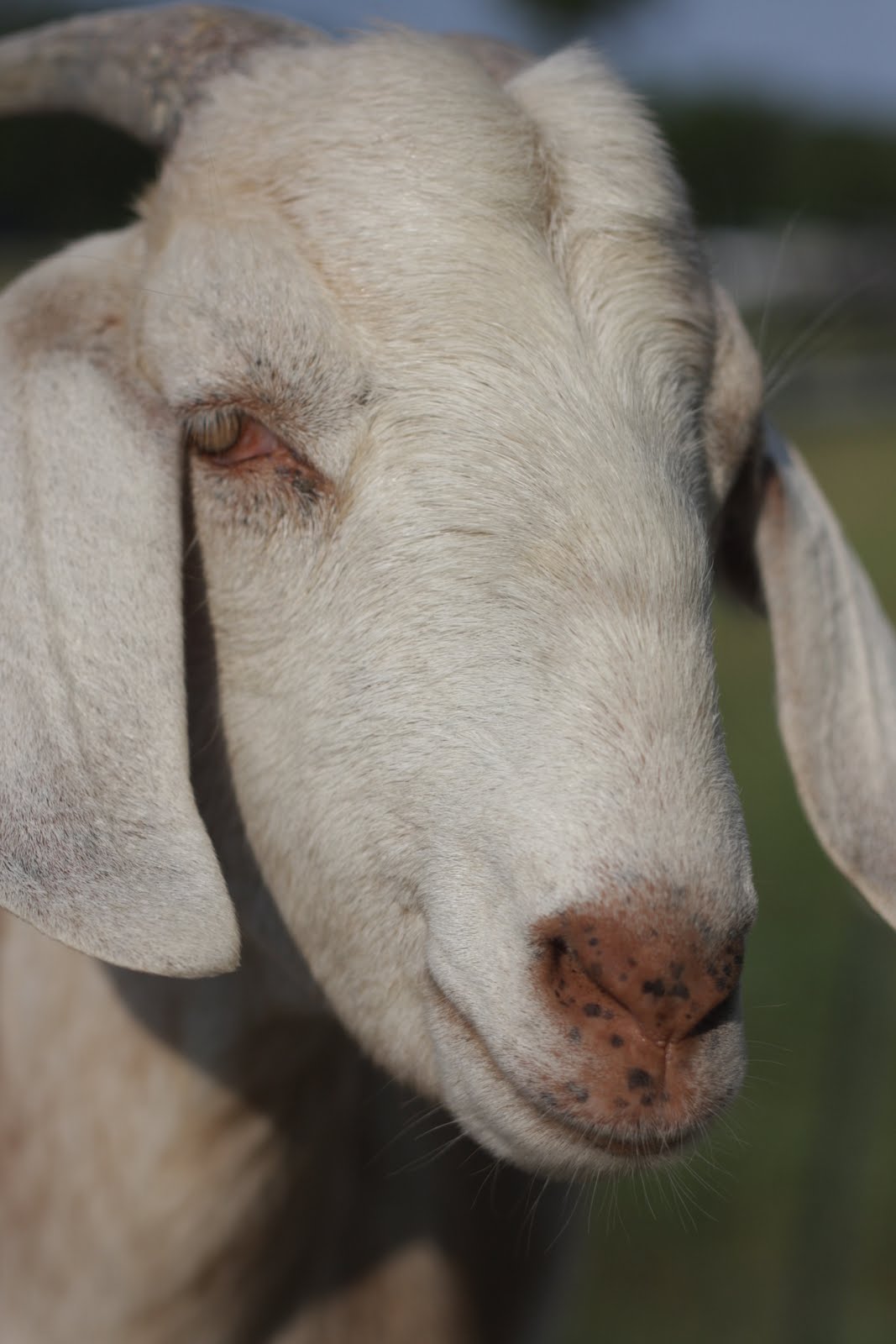 Beth Mitchell Photography