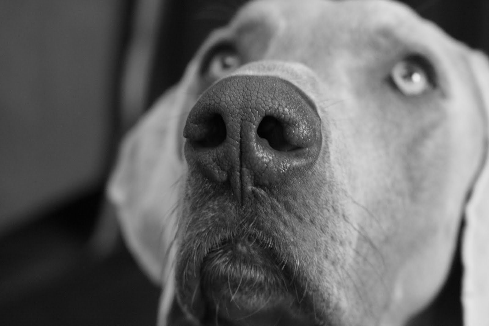 Beth Mitchell Photography