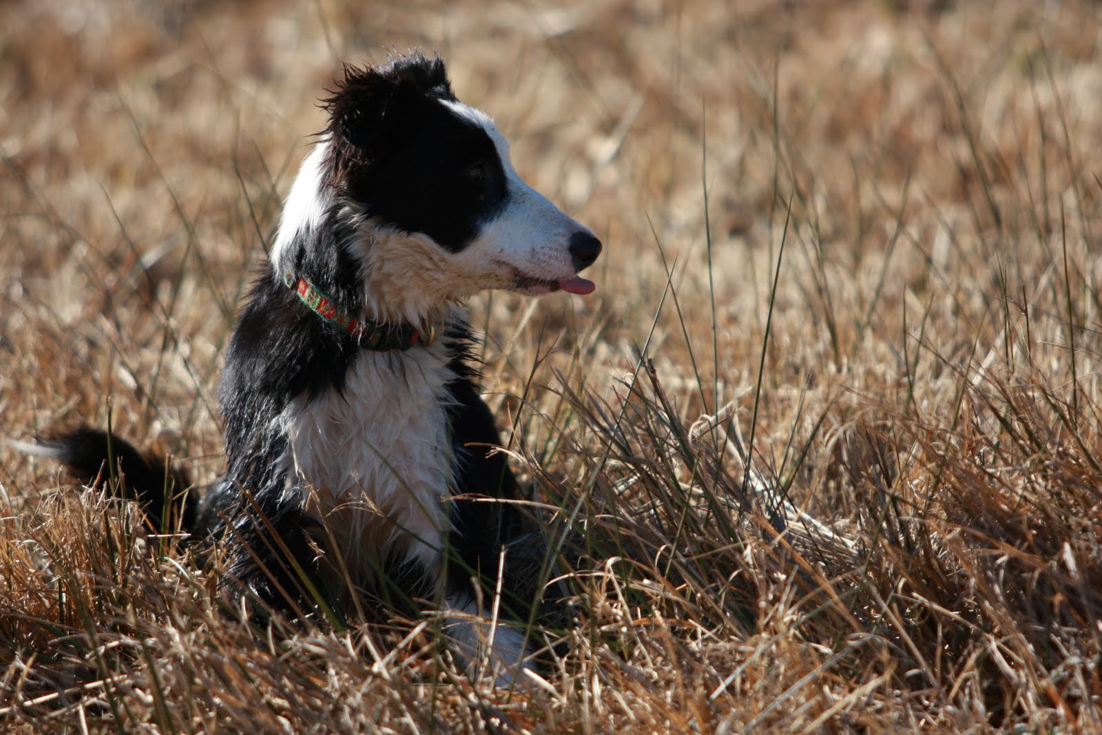 Beth Mitchell Photography