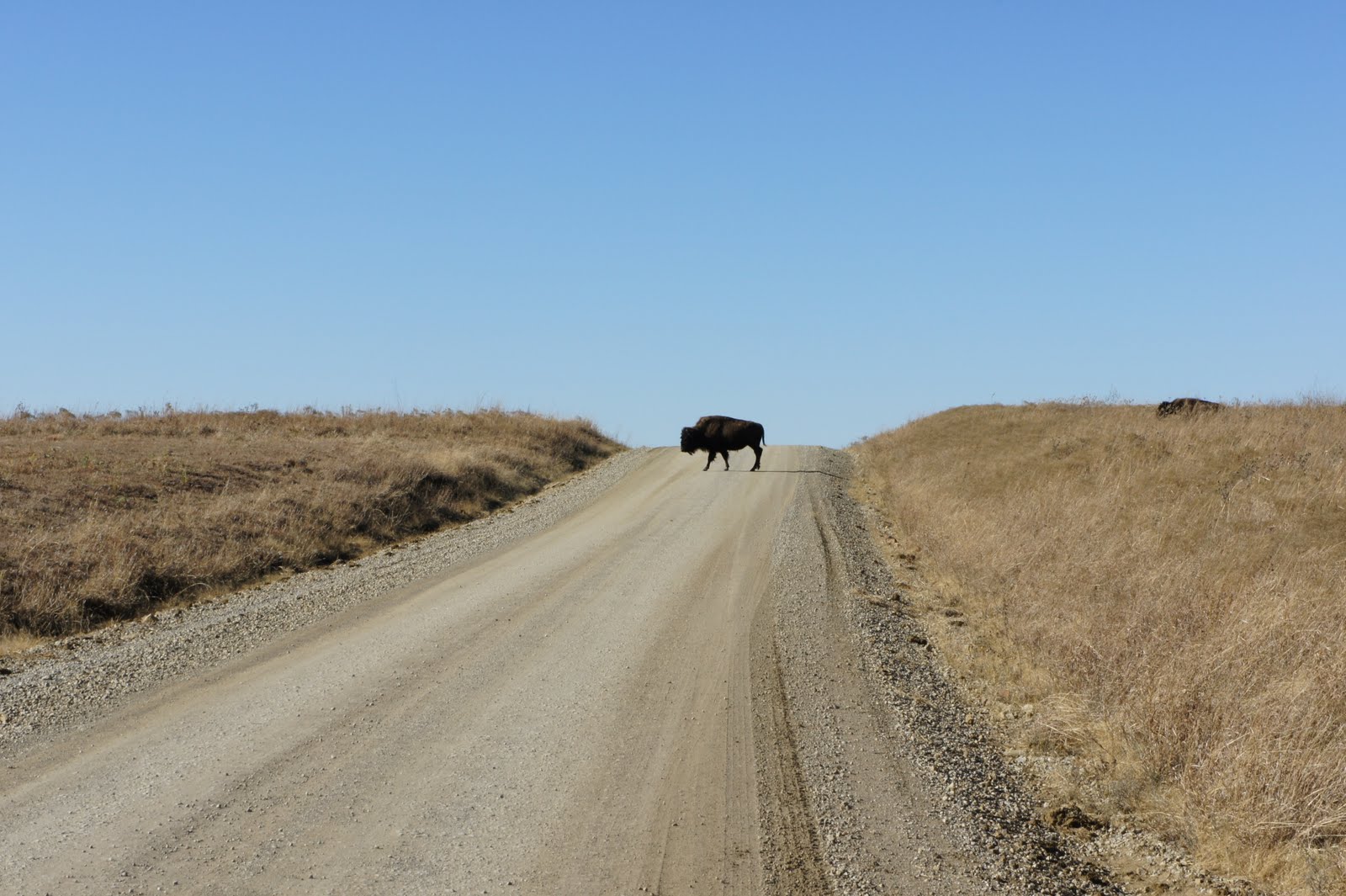 Living on Swiss Time: Tallgrass Prairie Preserve