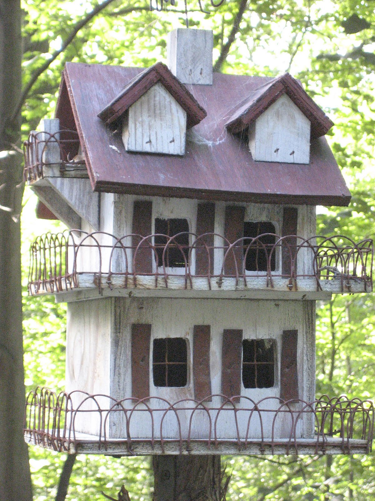 Evi's Country Snippets: Our Birdie Real Estate