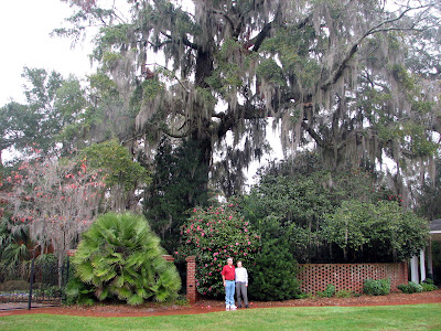 Florida Recreation: Maclay Gardens State Park